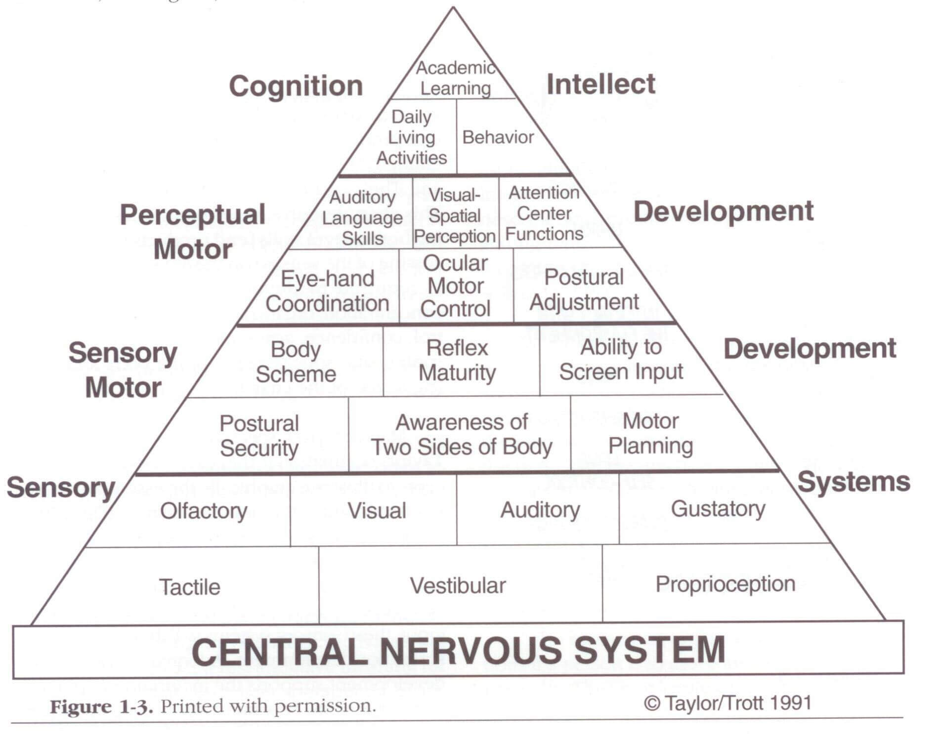 Sensory Integration Therapy | Child Therapy Solution | East Midlands